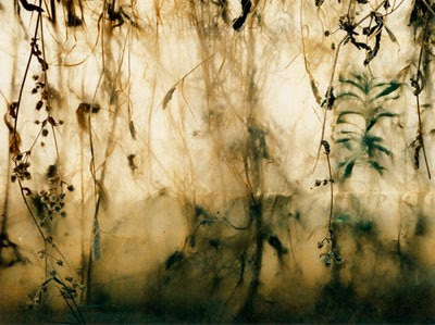 indigoalison: Judith Katz